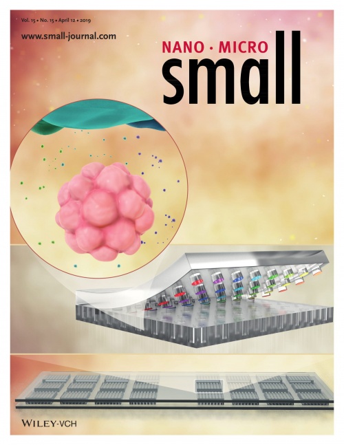 Ali_Small-1 | Paul S. Weiss Group